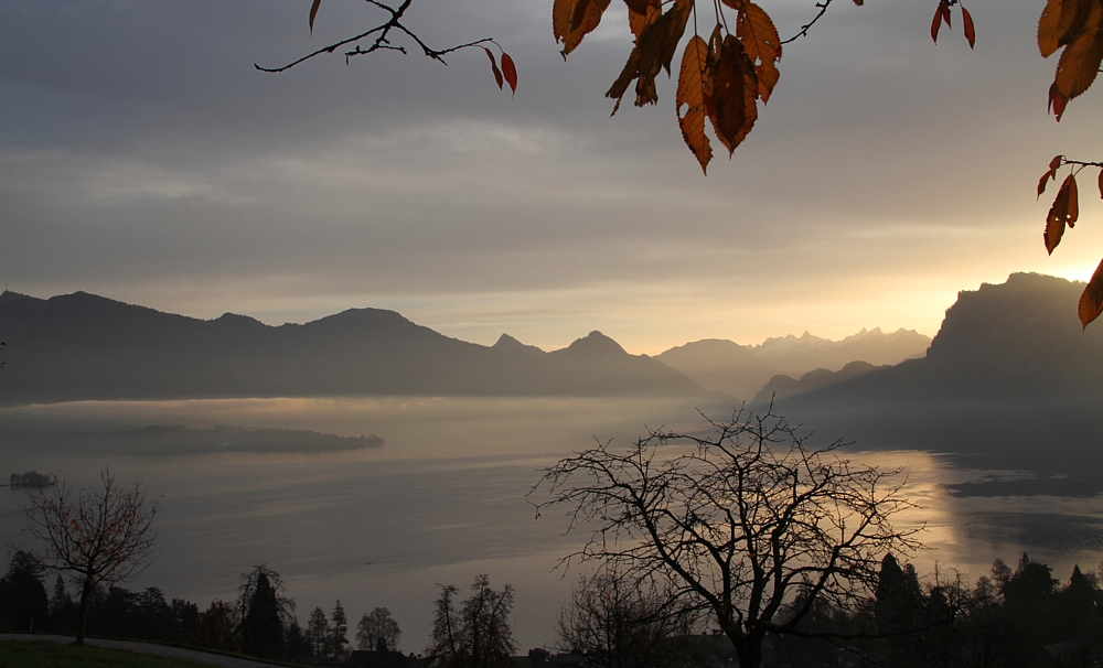 November-Morgen Foto & Bild | sonnenaufgänge, himmel & universum, natur ...