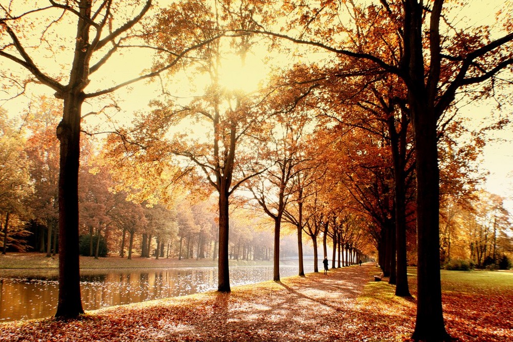 November Sun Foto & Bild | landschaft, garten- & parklandschaften ...