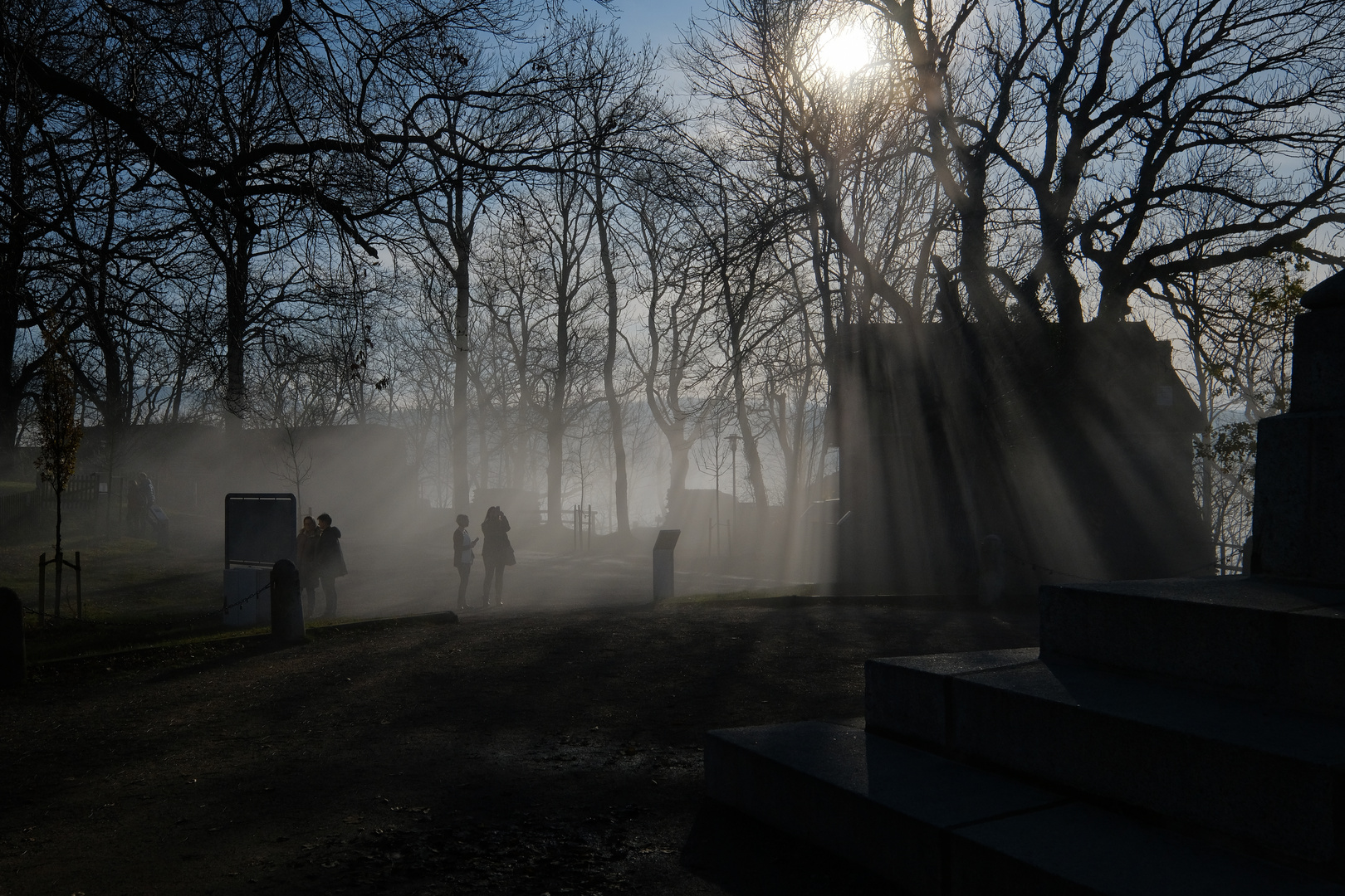 Novemberlicht...... Foto & Bild | landschaft, jahreszeiten, herbst ...