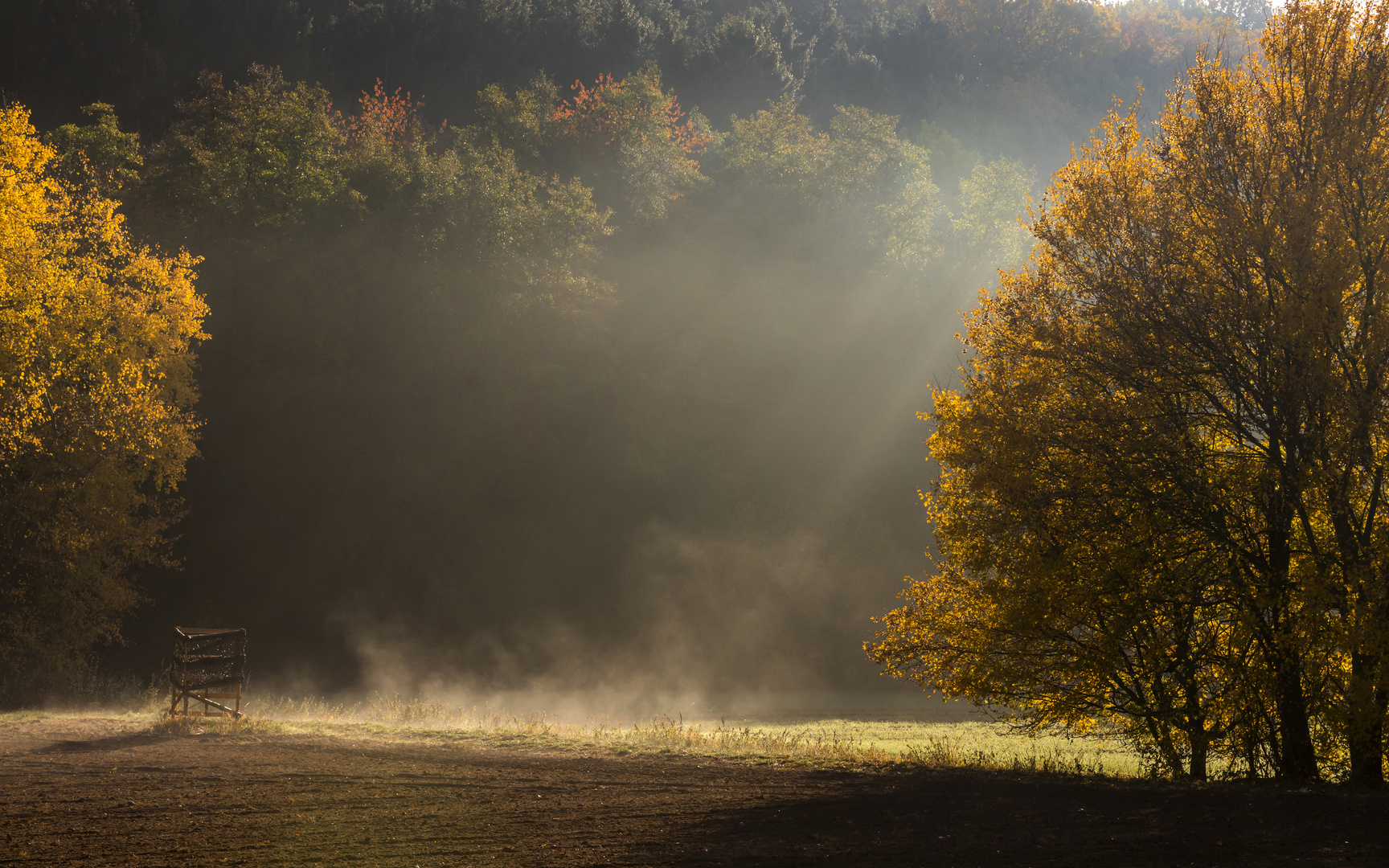 Novemberlicht Foto & Bild | landschaften, sonne, natur Bilder auf ...