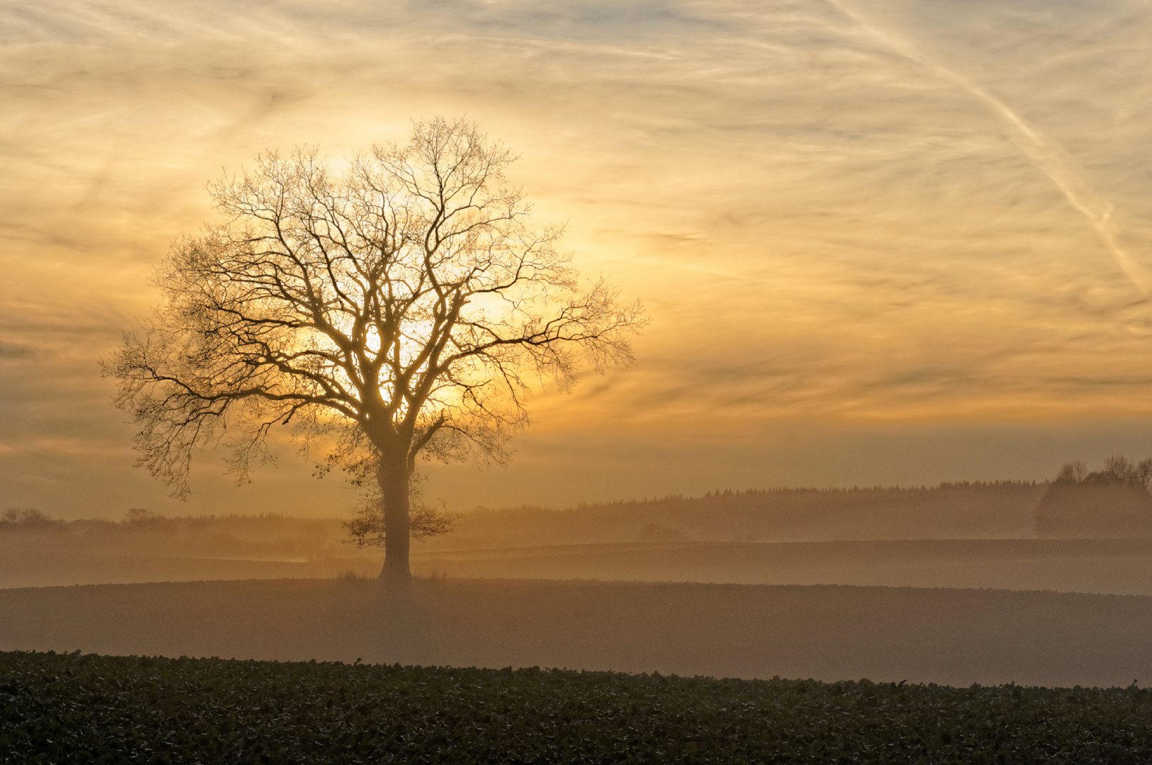 Novemberstimmung Foto & Bild | landschaft, Äcker, felder & wiesen ...