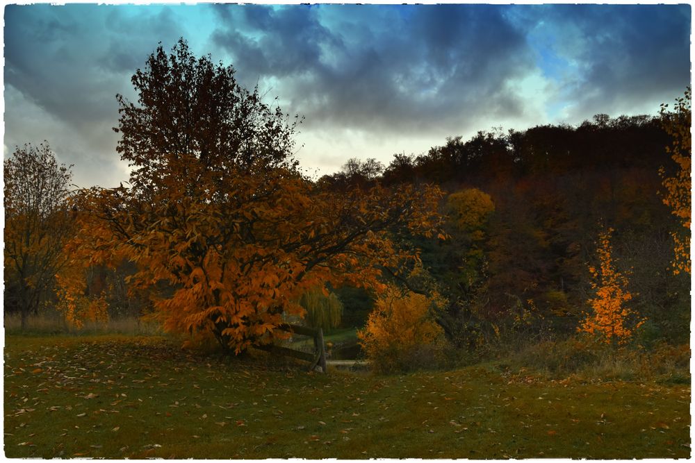 Novembertag Foto & Bild | natur, herbst, jahreszeiten Bilder auf ...