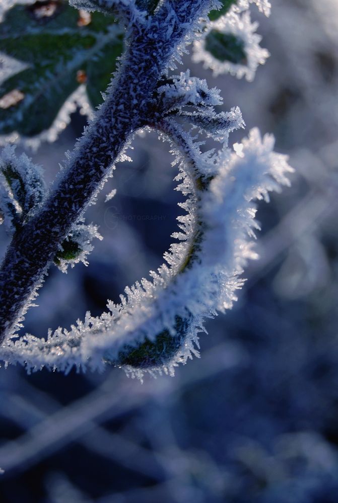 Nowhere to got Foto & Bild | jahreszeiten, winter, schnee Bilder auf ...