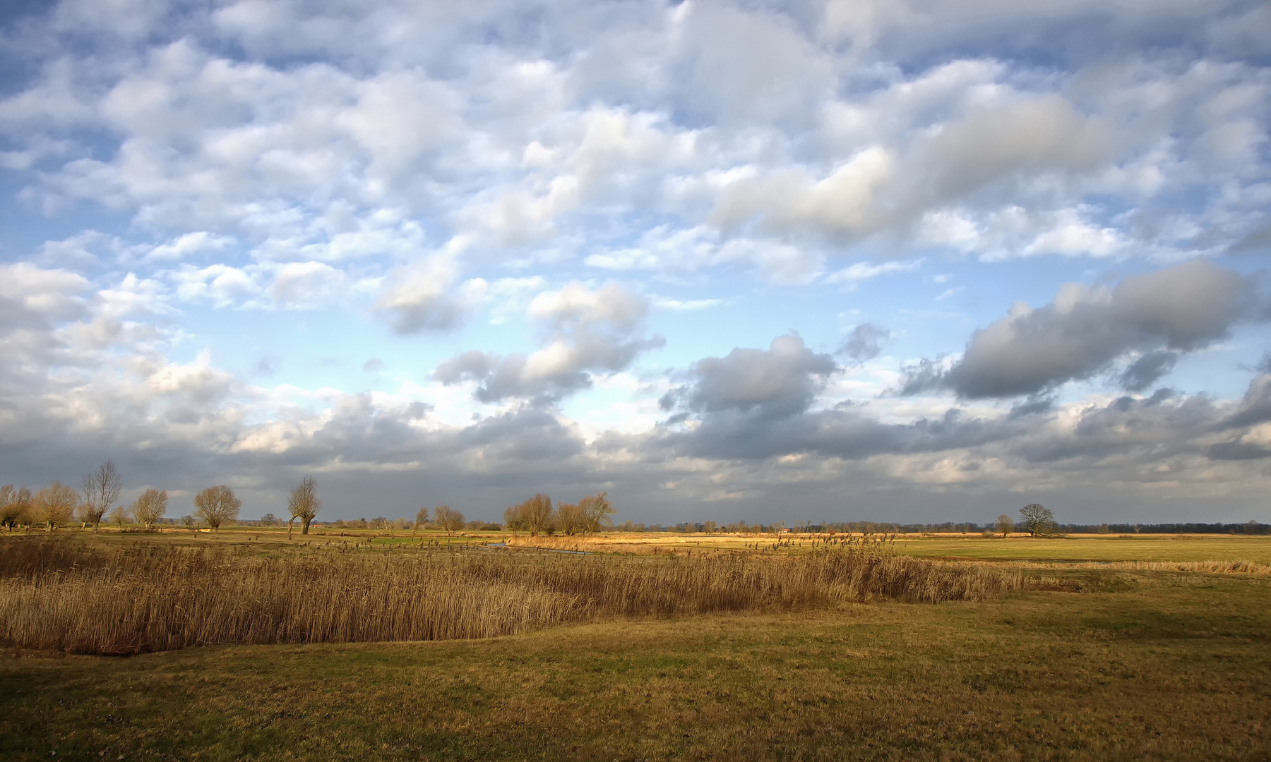 °NSG Stremel° Foto & Bild | landschaft, bäume, winter Bilder auf ...