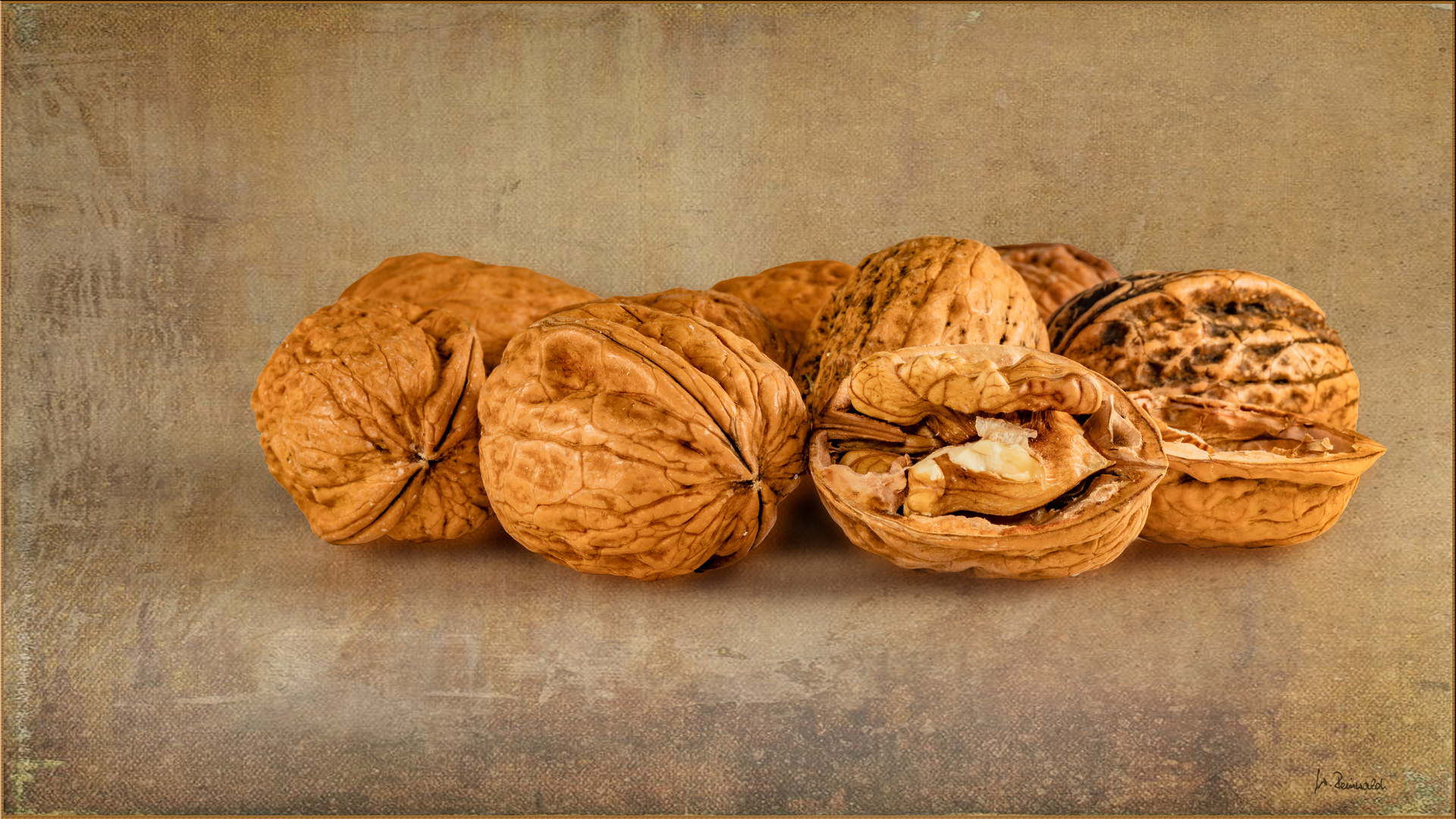 Nüsse °° Foto & Bild | spezial, nüsse, stillleben Bilder auf fotocommunity