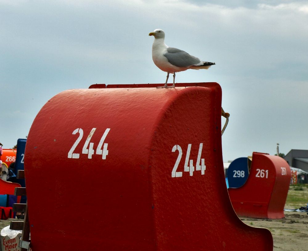 Nummer 244 Foto & Bild | deutschland, europe, schleswig- holstein ...