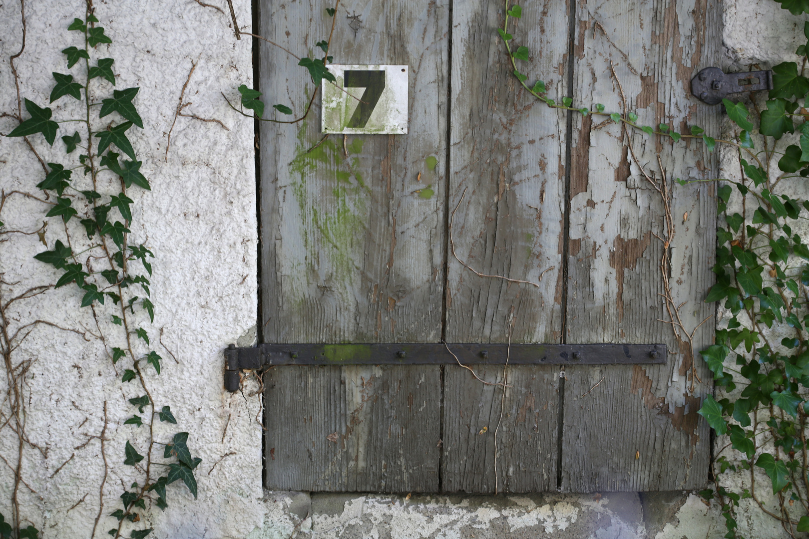 Nummer 7 Foto & Bild | architektur, pflanzen, pilze & flechten, fenster ...