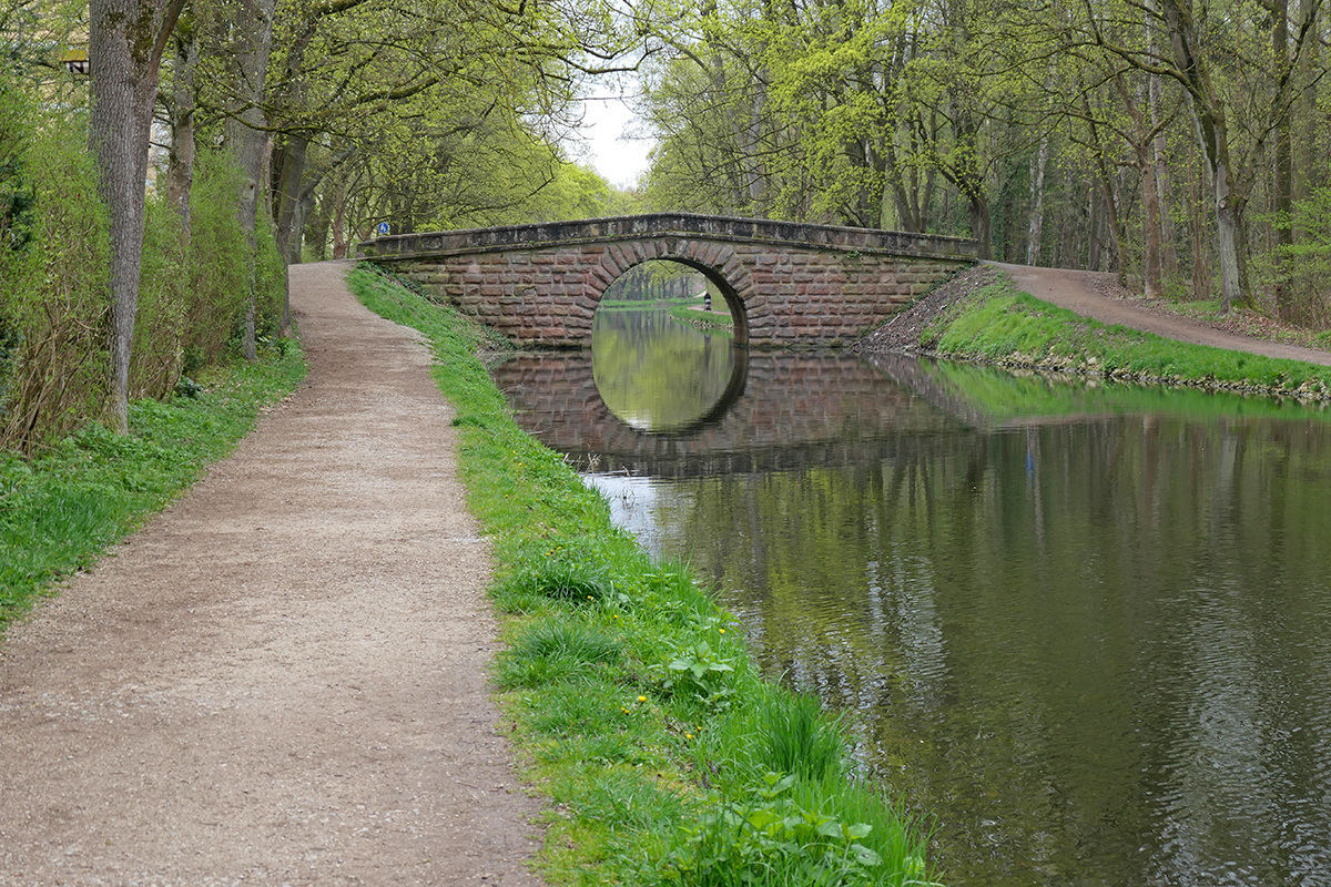 Nun will der Lenz uns grüßen Foto & Bild | world, frühling, natur ...