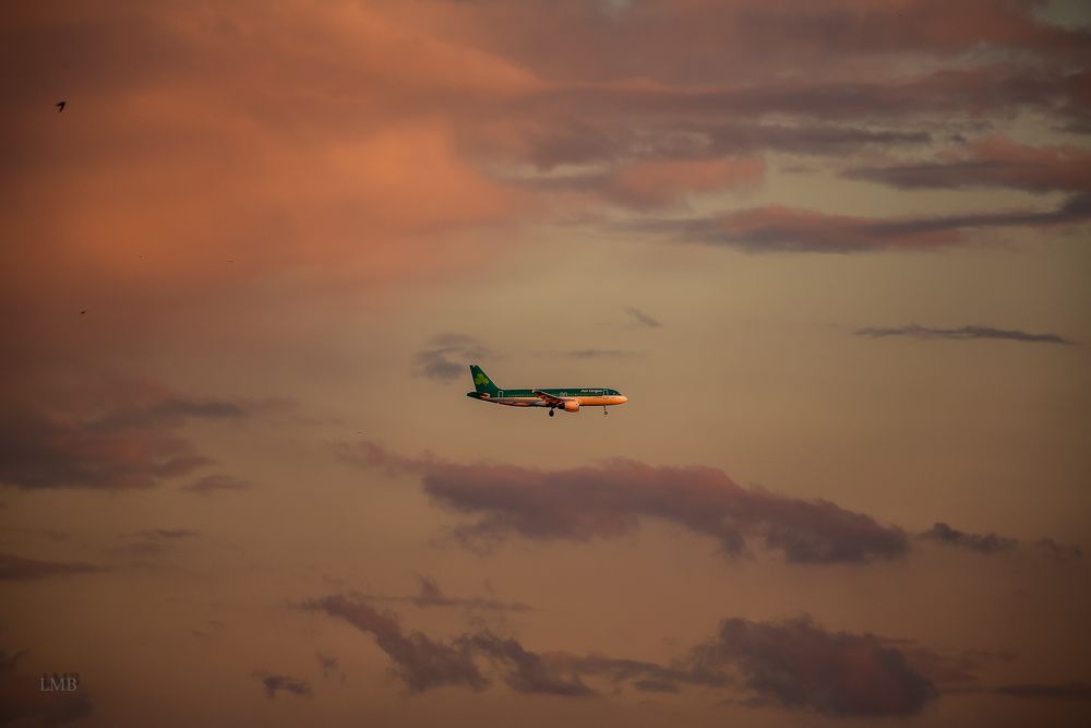 Nur ein paar Wochen Foto & Bild | sonnenuntergang, sommer, wolken ... Nur ein paar Wochen Foto & Bild | sonnenuntergang, sommer, wolken ...