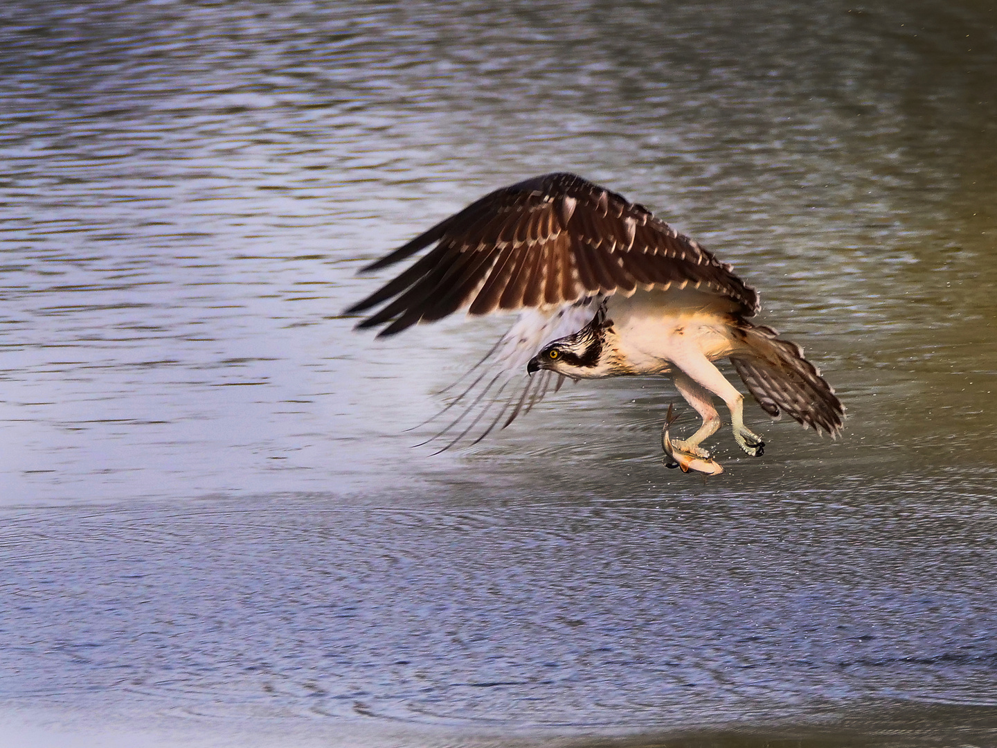 Nur was für den kleinen Hunger Foto & Bild | deutschland, europe ...