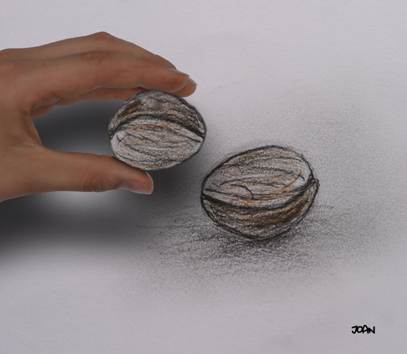 Nuss Foto & Bild | 2d-grafik, zeichnungen, zeichnen Bilder auf ...