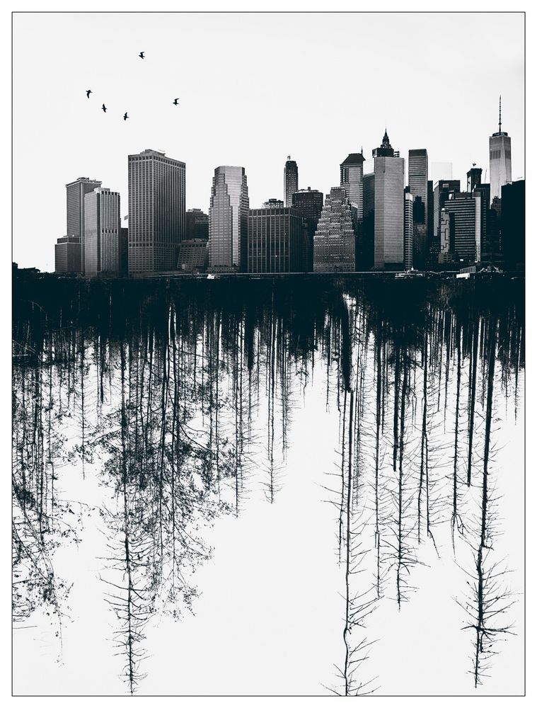 Ny Foto And Bild Art Spezial Monochrome Bilder Auf Fotocommunity