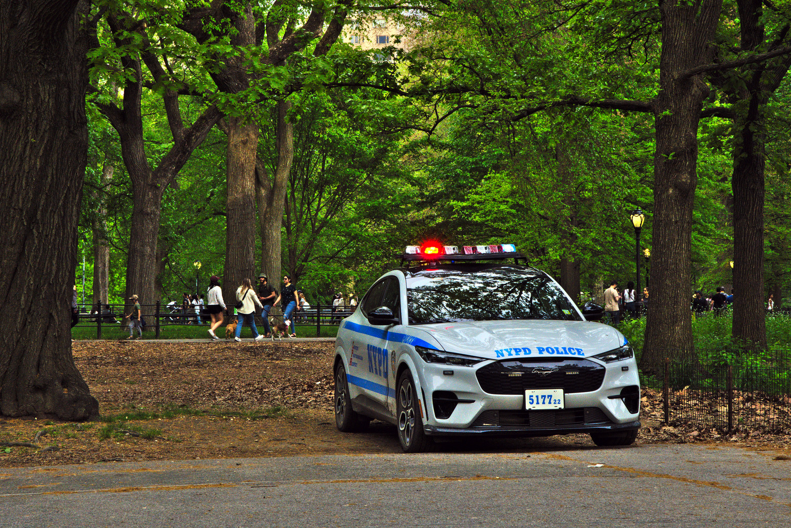 Nypd Police Car