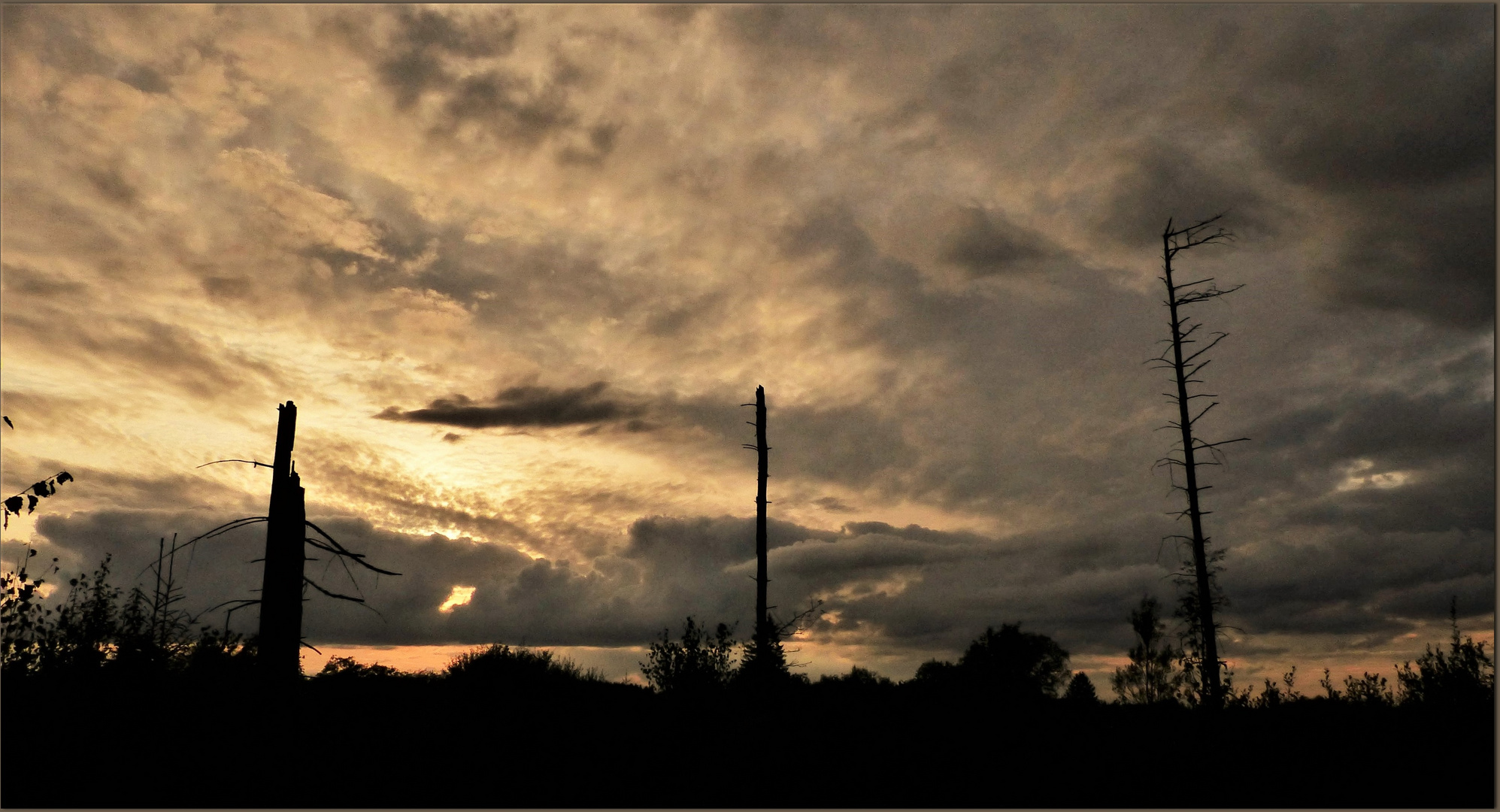 "O schaurig ist's übers Moor zu gehn.... Foto & Bild | natur ...