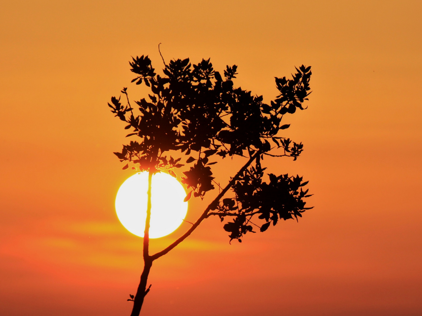 o' sole Foto % Immagini| paesaggi, natura Foto su fotocommunity