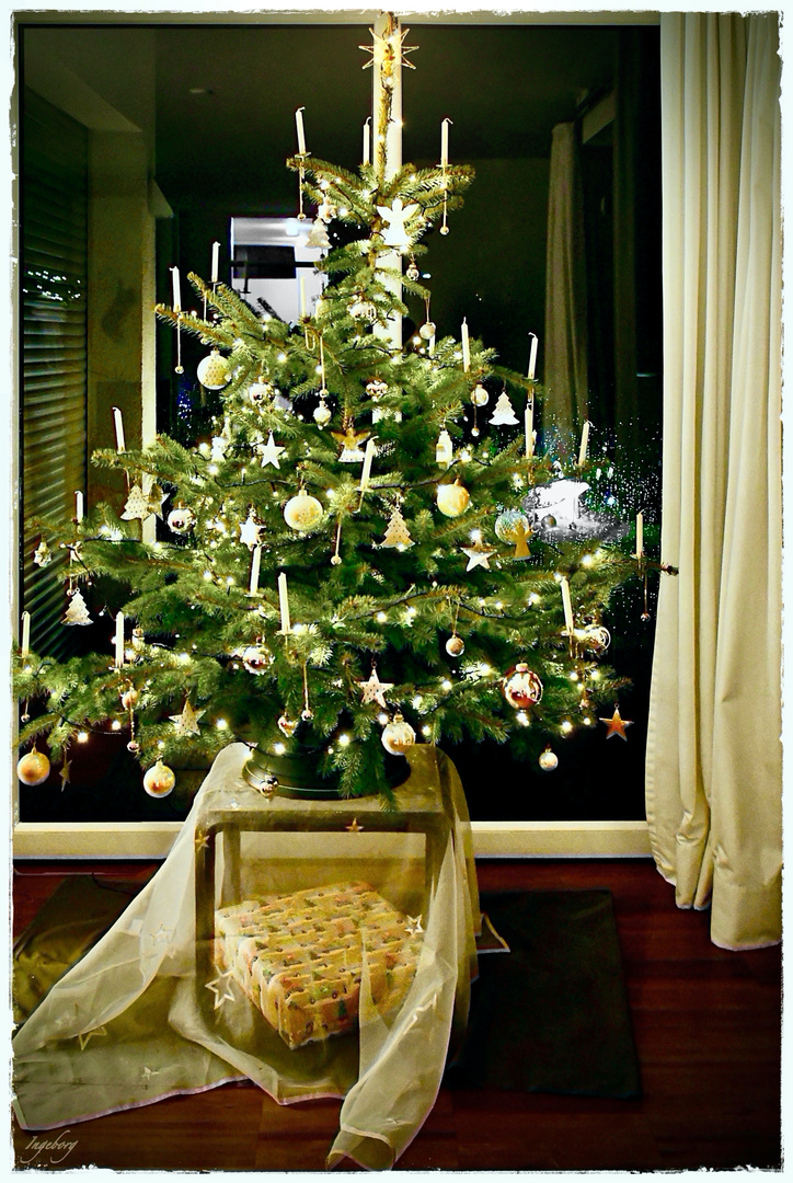 O Tannenbaum! Foto & Bild | weihnachten, indoor, tannenbaum Bilder auf ...