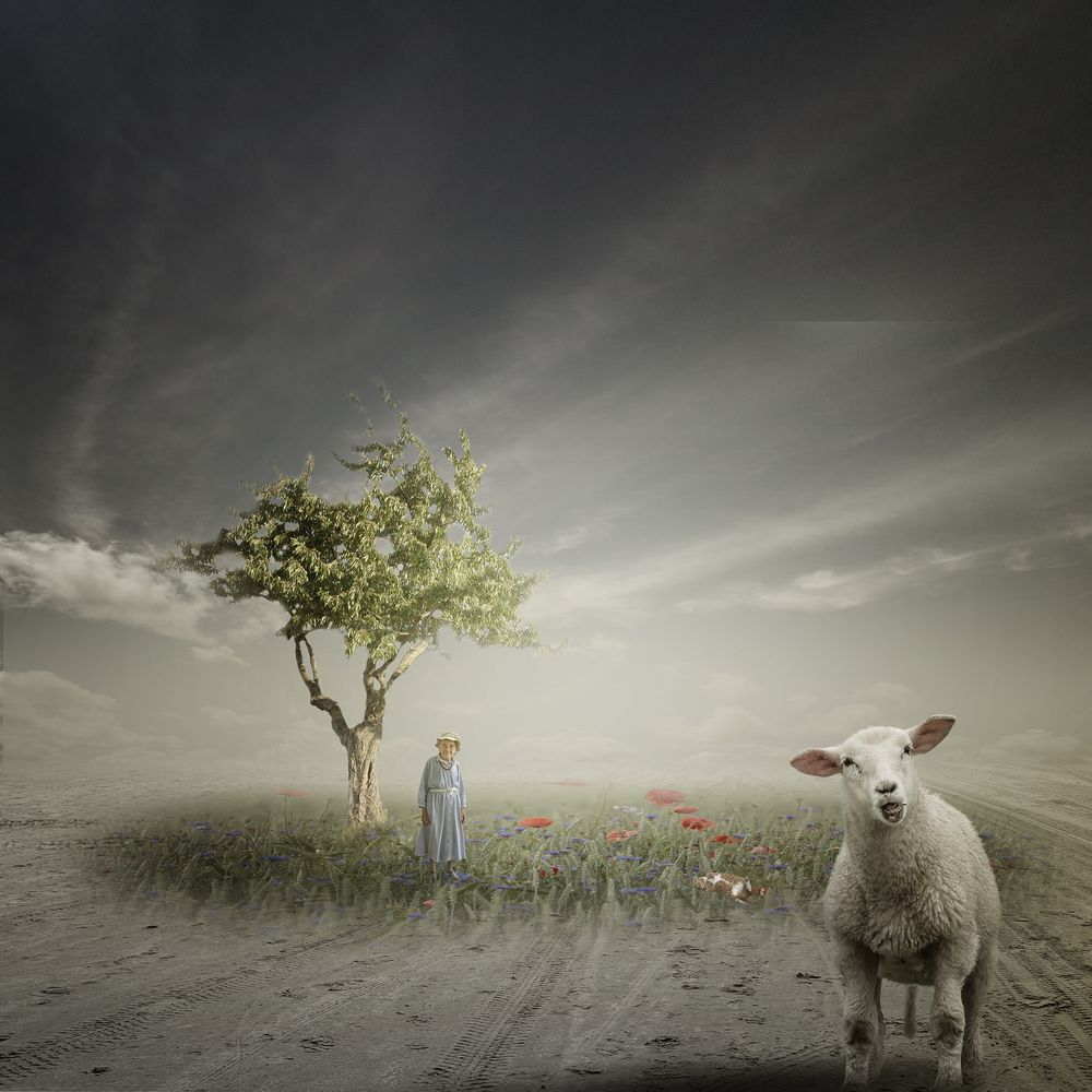 Oase Foto & Bild | fotomontage, fantasy mystery, wolken Bilder auf fotocommunity