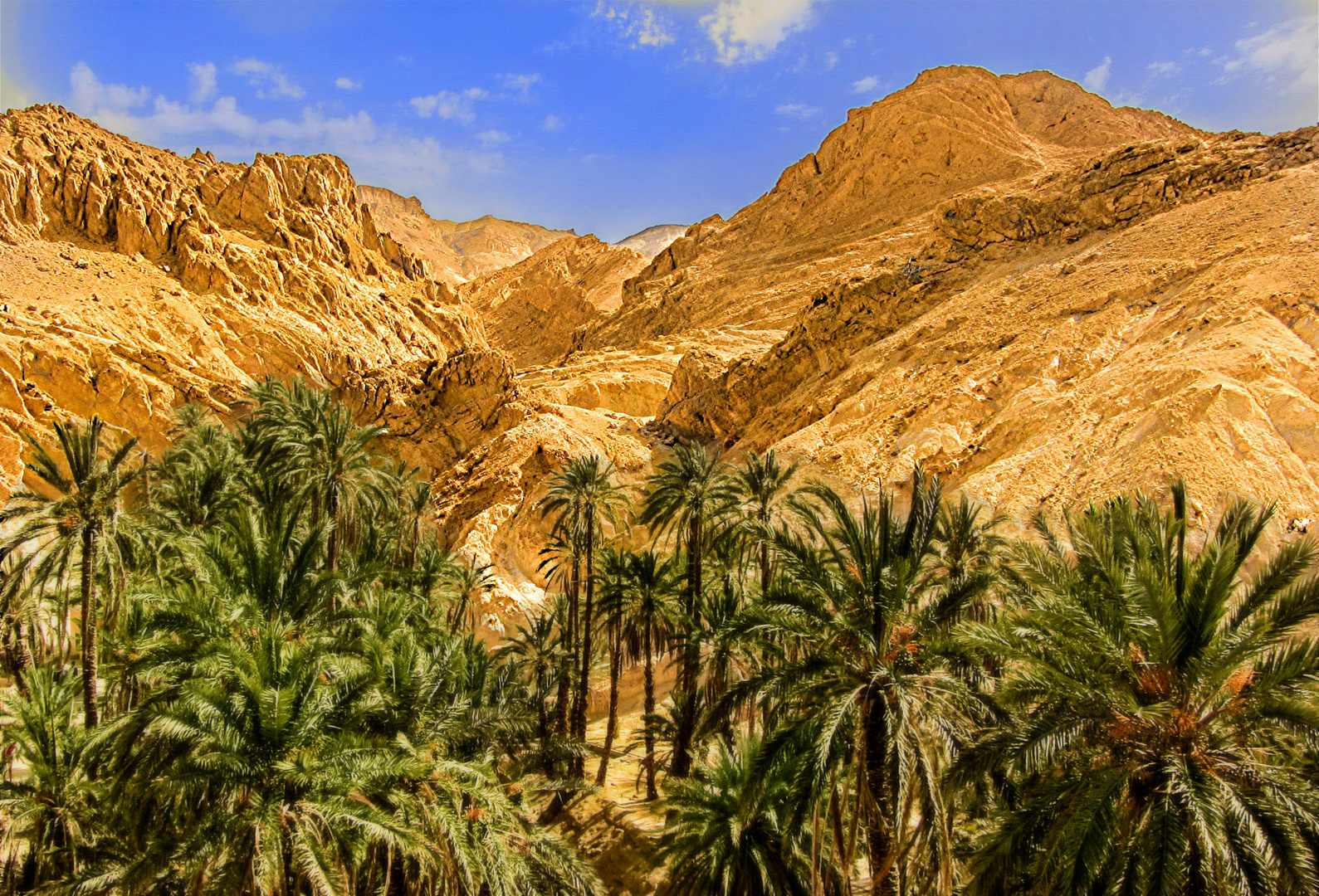 Oase Foto & Bild | landschaft, berge, tunesien Bilder auf fotocommunity
