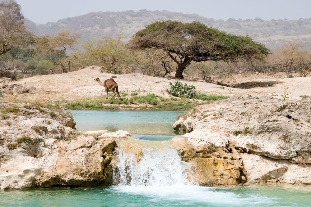 Oase aus dem Märchenbuch Foto & Bild | asia, middle east, landschaft ...