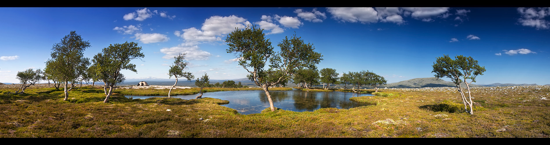 [Oasen] Foto & Bild | europe, scandinavia, norway Bilder auf fotocommunity