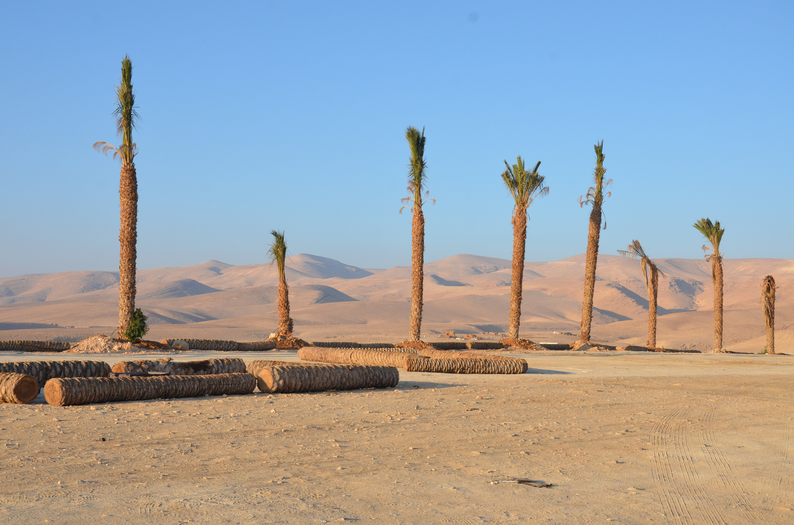 OASI Foto % Immagini| paesaggi, deserti, natura Foto su fotocommunity