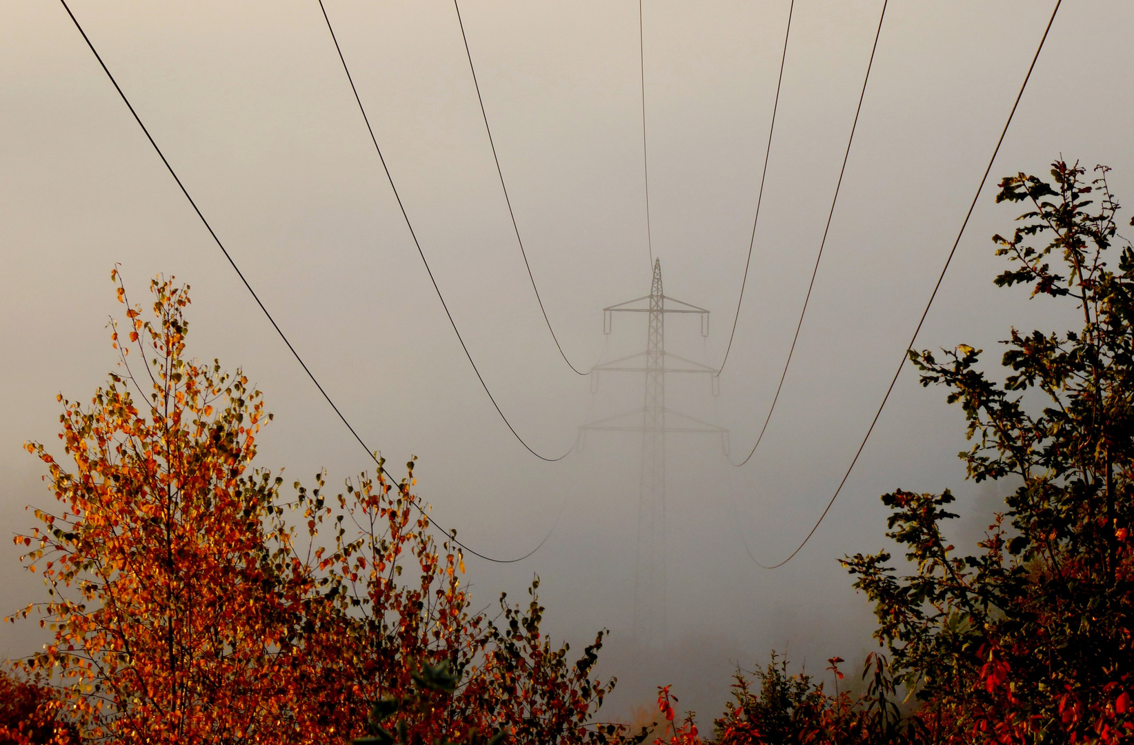 Oben Durchblick - Unten nicht Foto & Bild | jahreszeiten, herbst ...