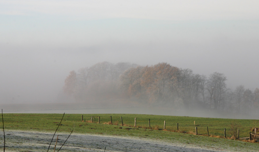 Oberberg im Nebel... -1- Foto & Bild | jahreszeiten, herbst, natur ...