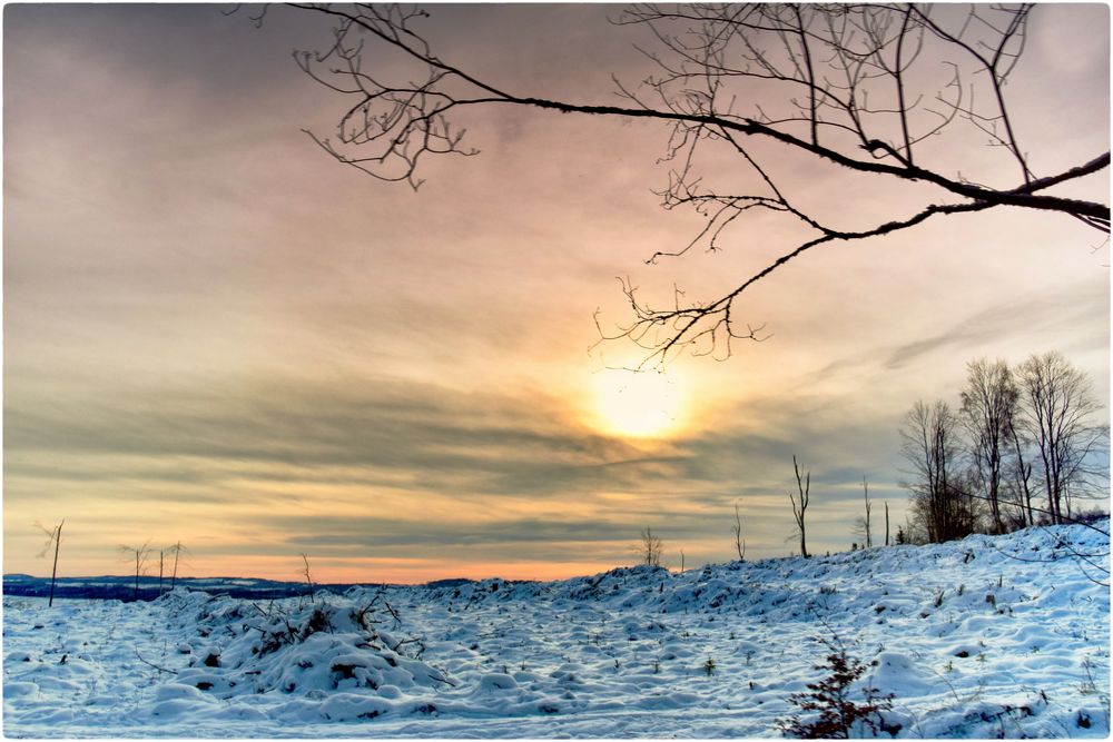 Oberharz Foto & Bild | winter, natur, landschaft Bilder auf fotocommunity