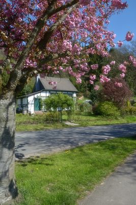Frühling Bilder & Fotos