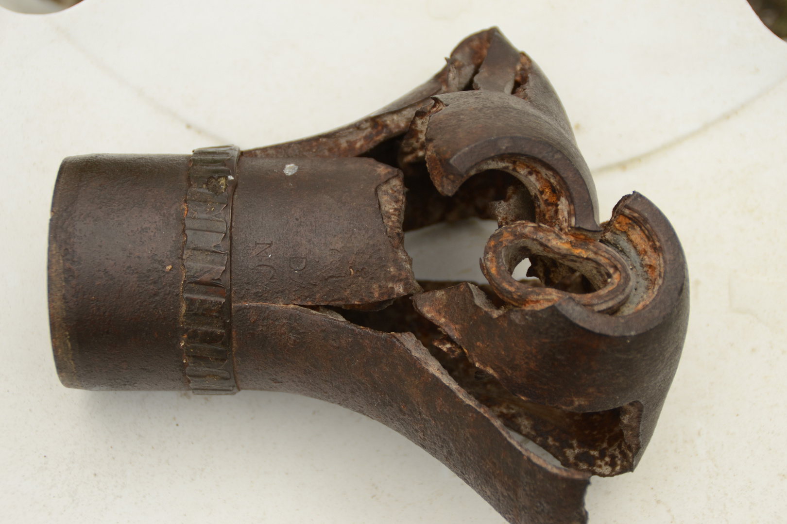 Obus photo et image | comment faire mieux ?, nature, special Images ...