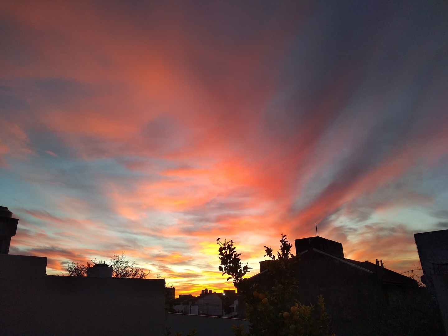 OCASO INVERNAL Imagen & Foto | paisajes, naturaleza diversa , cielo y ...