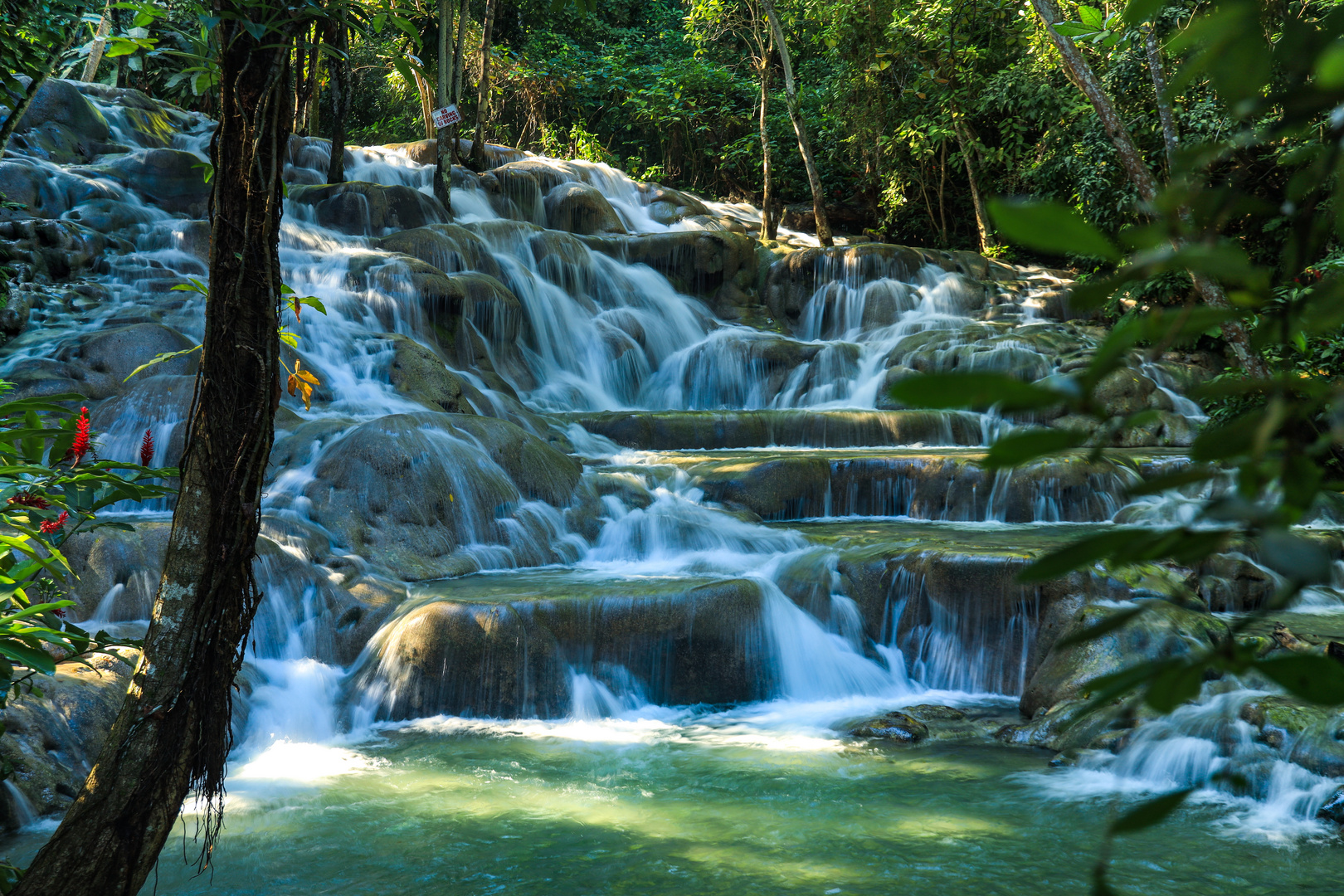 Ocho Rios, Dunns River Falls 3 Foto & Bild | north america, central ...