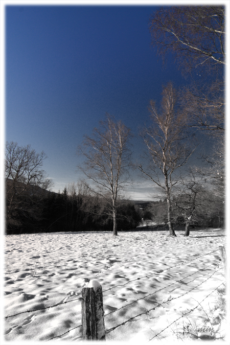 Ode an den Winter Foto & Bild | jahreszeiten, winter, natur Bilder auf fotocommunity