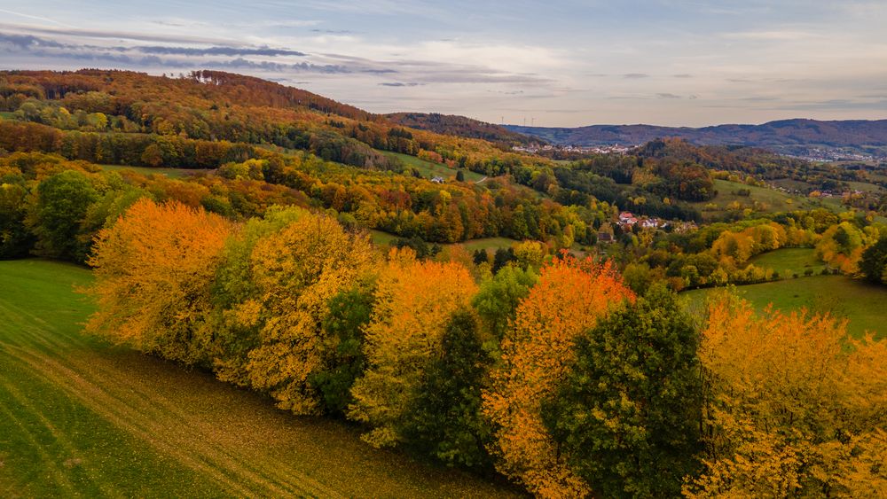 Odenwald Foto & Bild | jahreszeiten, herbst, europa Bilder auf ...