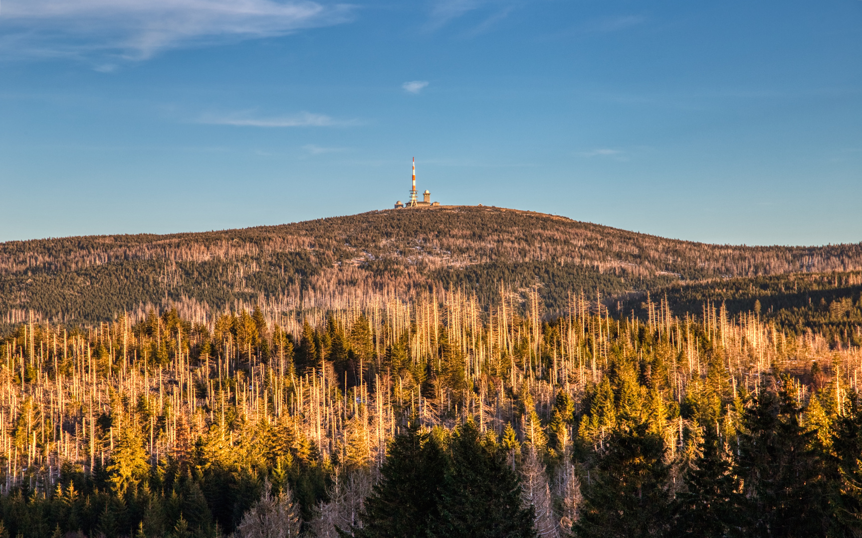 Oh du schöner grüner Wald... Foto & Bild | landschaft, berge ...