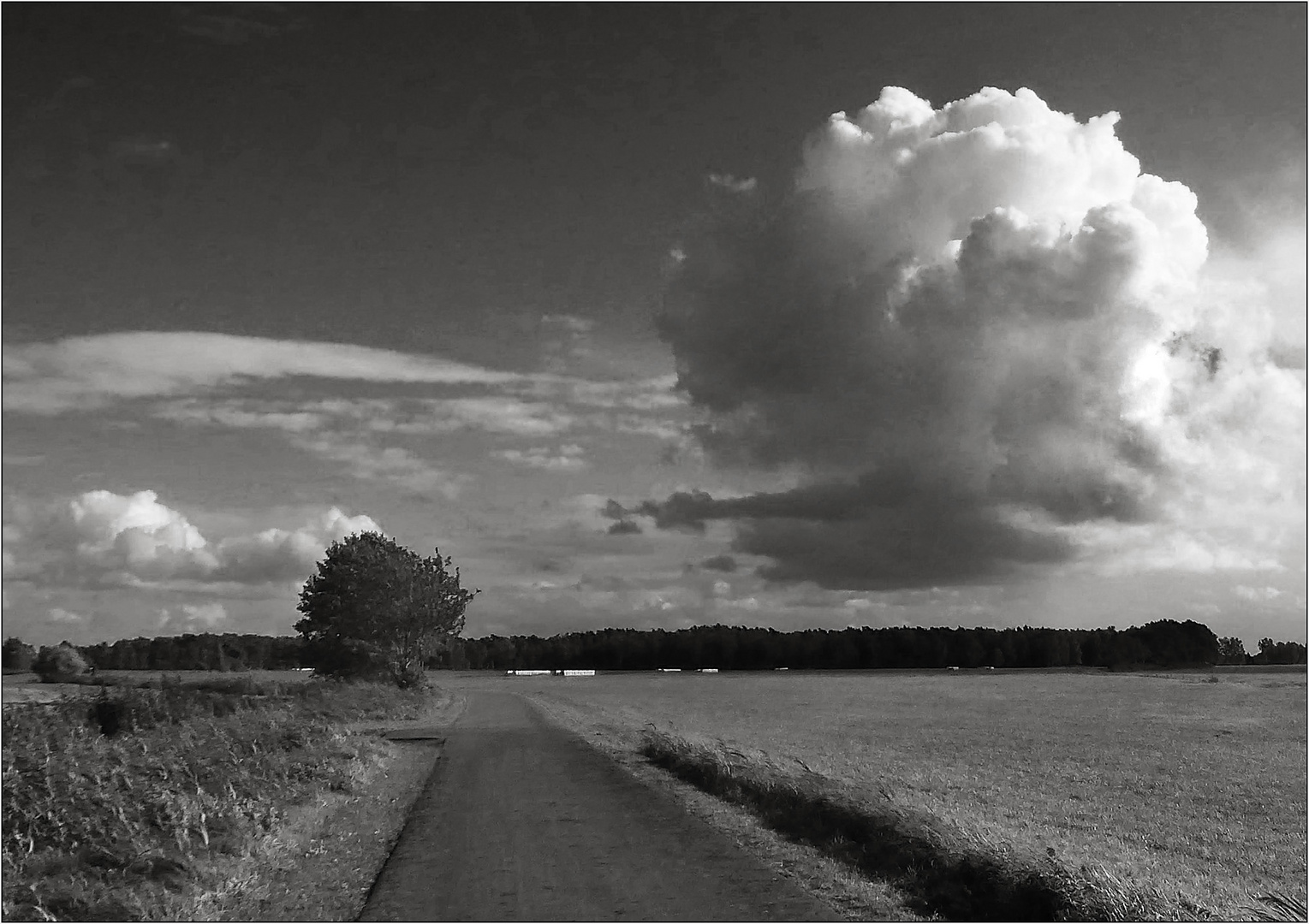Oh ... eine Wolke ..! Foto & Bild | wolken, himmel, sw Bilder auf ...