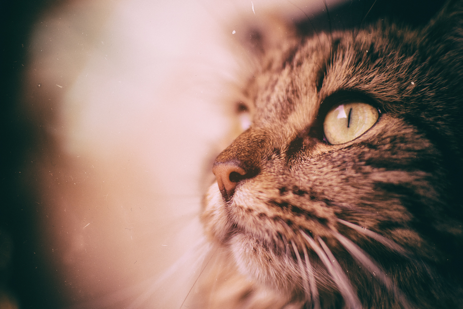 Oh My Goodness Gracious Foto Bild Fotos Spezial Natur Bilder Oh My Goodness Gracious Foto Bild Fotos Spezial Natur Bilder