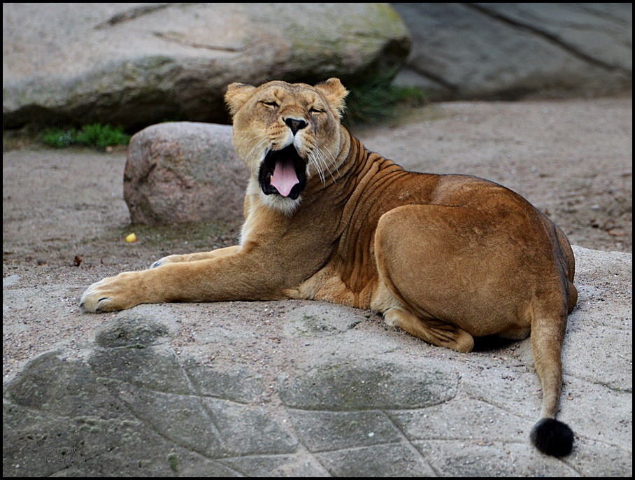 Oh nein !!! Foto & Bild | youth, natur, müde Bilder auf fotocommunity