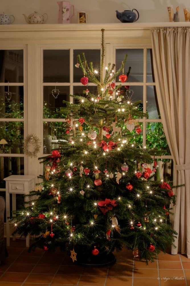 Oh Tannenbaum Foto & Bild | gratulation und feiertage, weihnachten ...