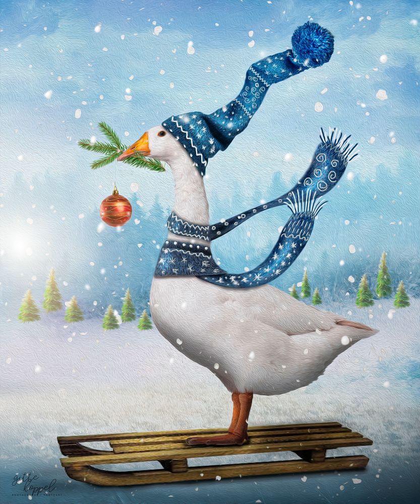 -ohmygoose- Foto & Bild | fotomontage, composing , digiart Bilder auf ...