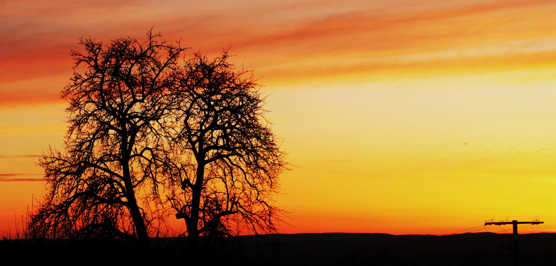 Ohne Kommentar Foto & Bild | spezial, sonnenuntergang, bäume Bilder auf ...