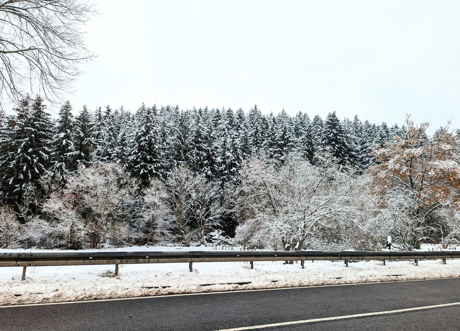 Ohne Titel Foto & Bild | jahreszeiten, winter, fotos Bilder auf fotocommunity