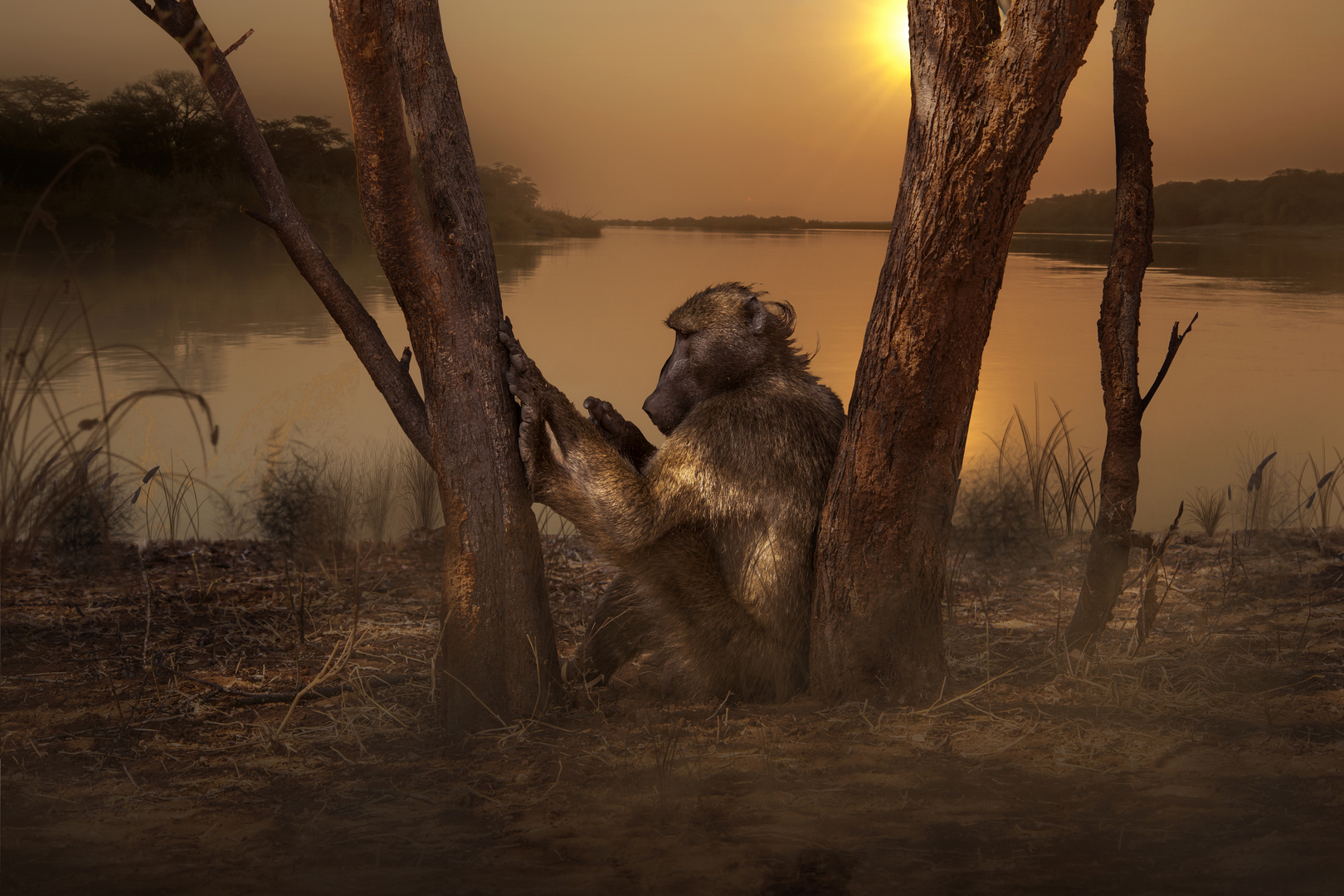 Okavango Foto & Bild | fotomontage, composing , surreal Bilder auf fotocommunity