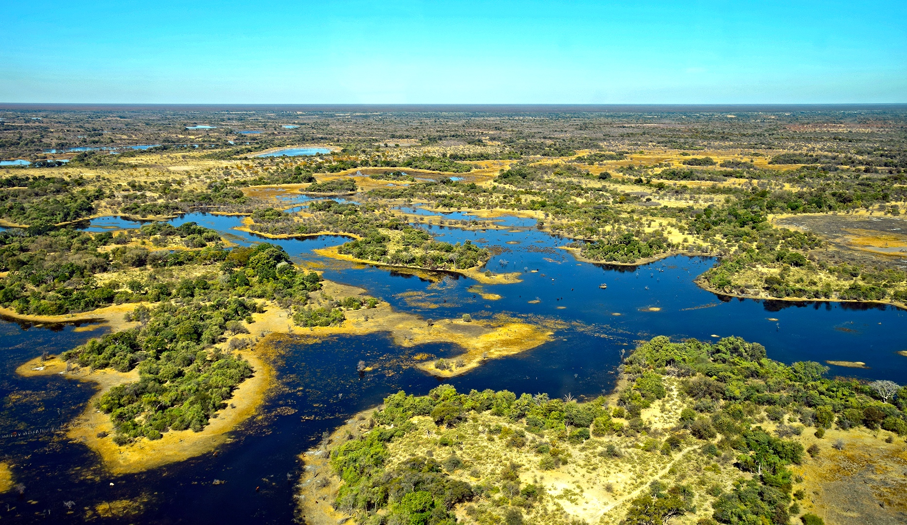 Okavango Delta Foto & Bild | fotos, world, spezial Bilder auf fotocommunity