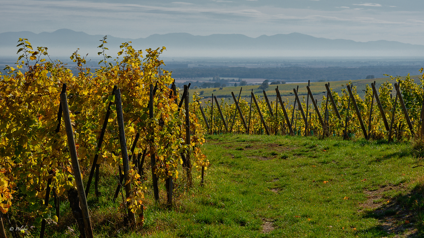 Oktober im Elsass Foto & Bild | europe, france, landschaft Bilder auf fotocommunity