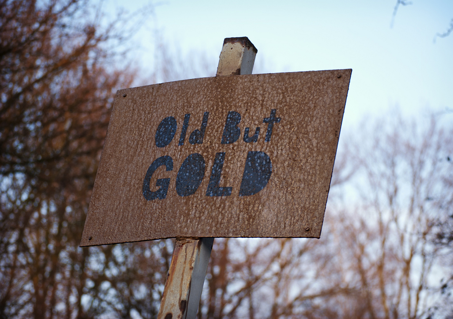 Old but gold Foto & Bild | quatsch, fun und rätselecke, witzige ...