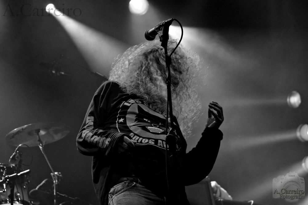 Old rockers never die. Imagen & Foto | música y conciertos, especial ...