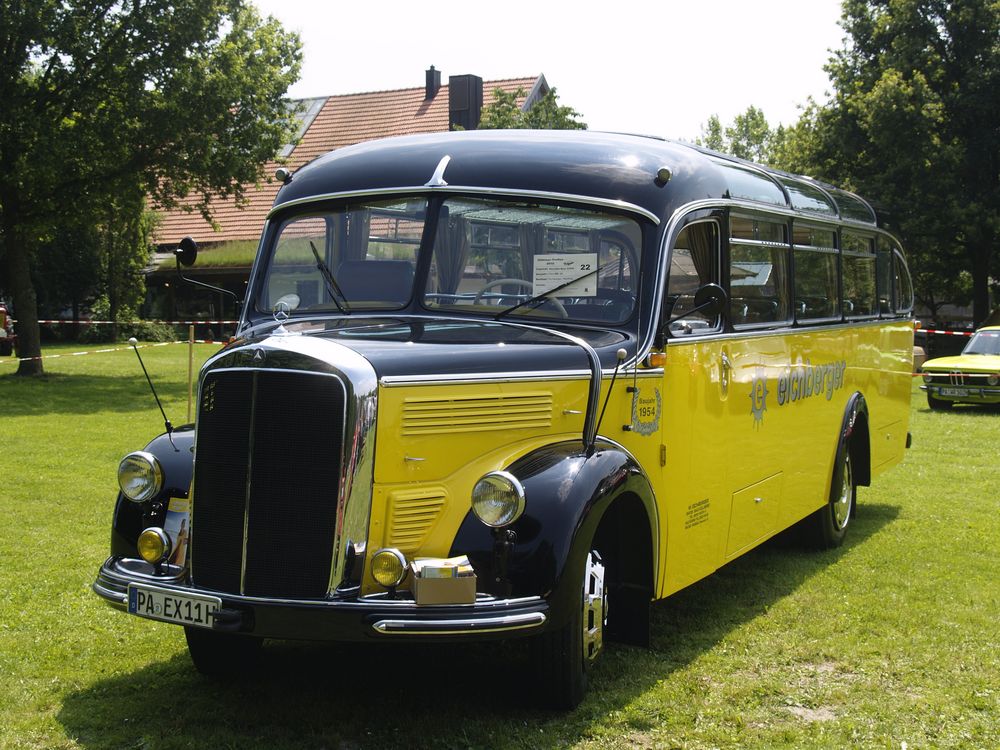 Oldtimer Bus Mercedes von 1954 Foto & Bild | bus & nahverkehr ...