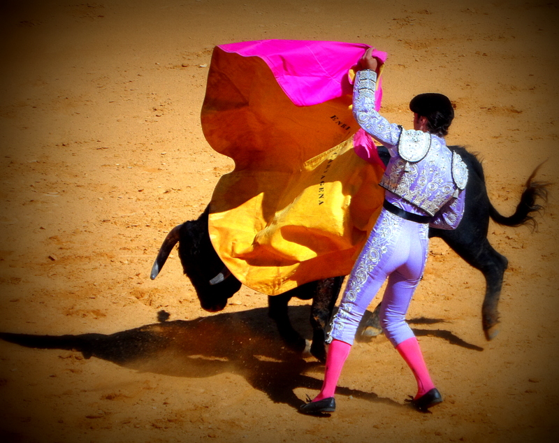 Olé Toro.... photo et image | visions artistiques, traditions ...