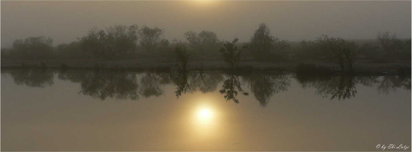 ** On a Moonlit Night at the Georgina River ** Foto & Bild | australia ...